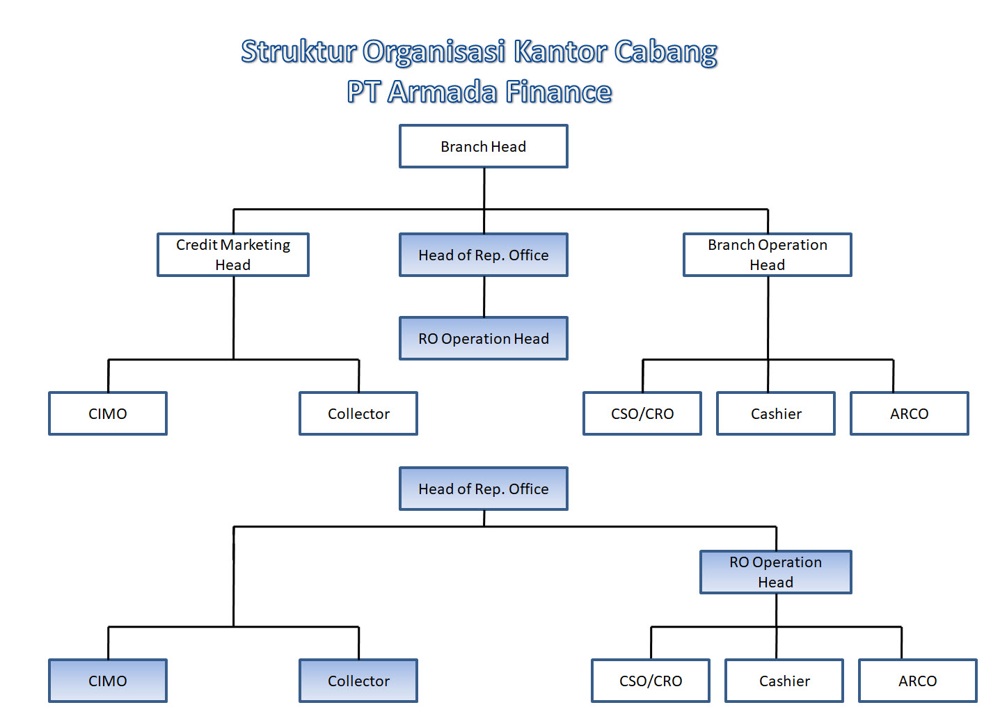 Organizational Structure